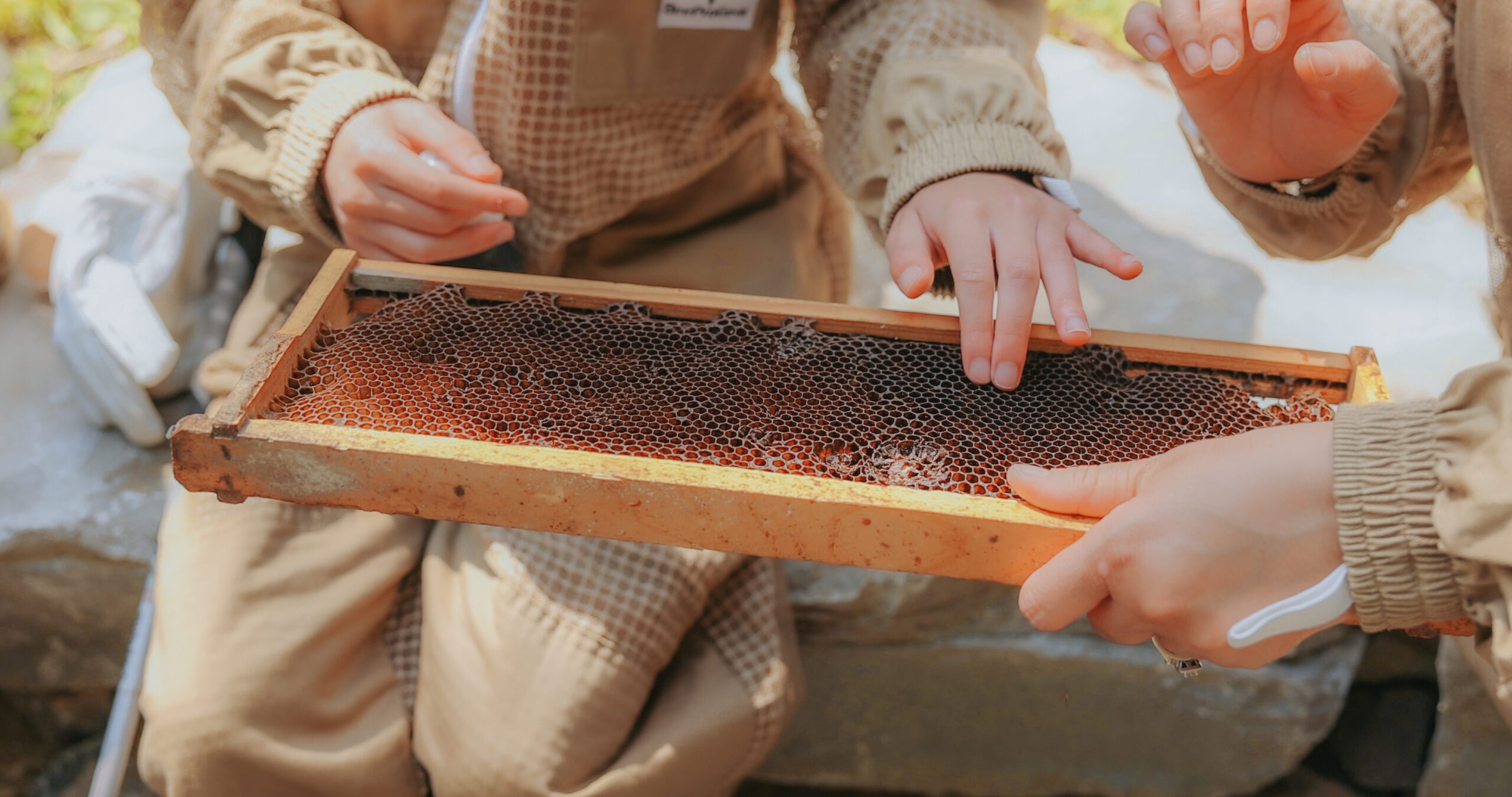 Tennessee School for the Blind Introduces Students to the Ranch Experience - Foreseeable Future ...