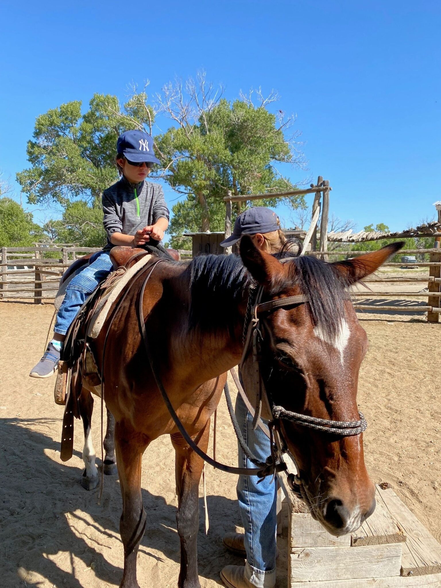 Foreseeable Future ranch camp introduces horsemanship to blind children in Colorado ...