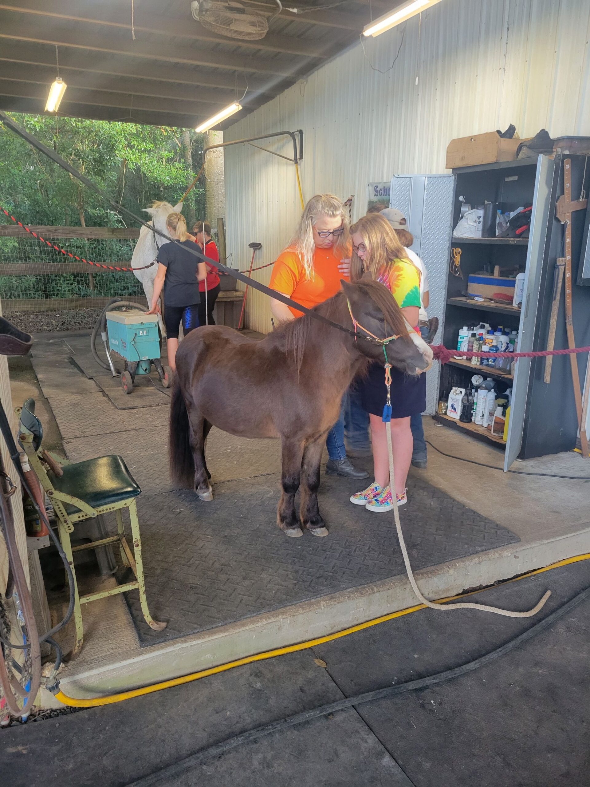 Foreseeable Future - Foreseeable Future Foundation